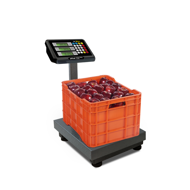 BAPCA-80 - Báscula de Plataforma Plegable Capacidad 80 kg