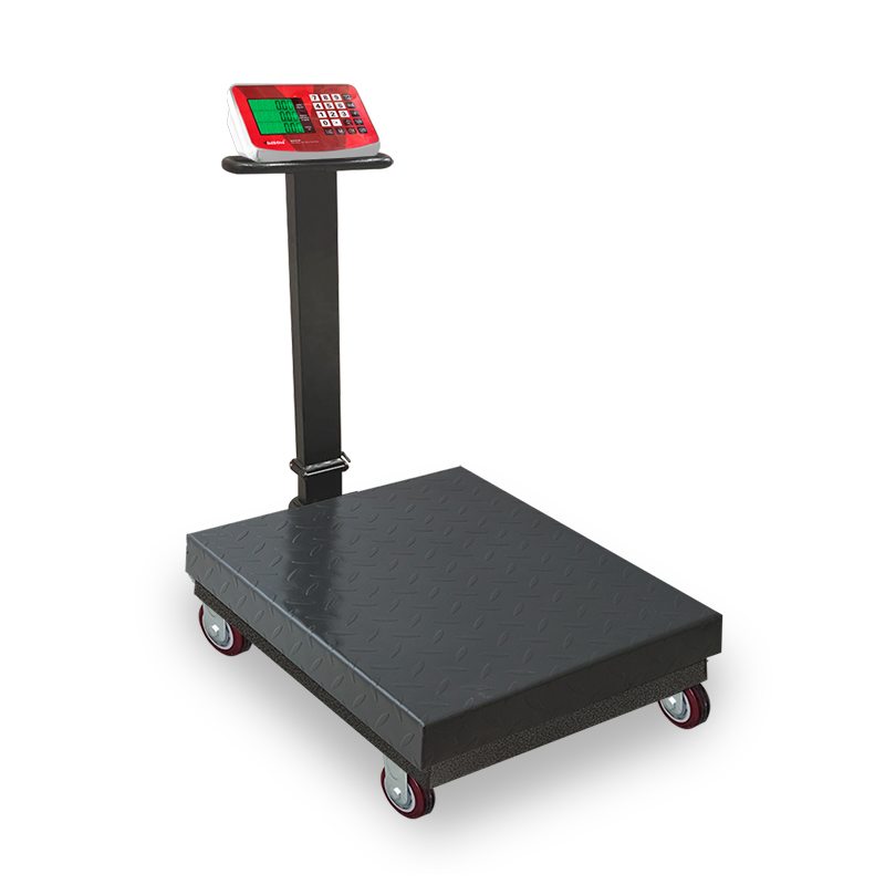 BAPLE-800 - Báscula de Plataforma Plegable Capacidad 800 kg