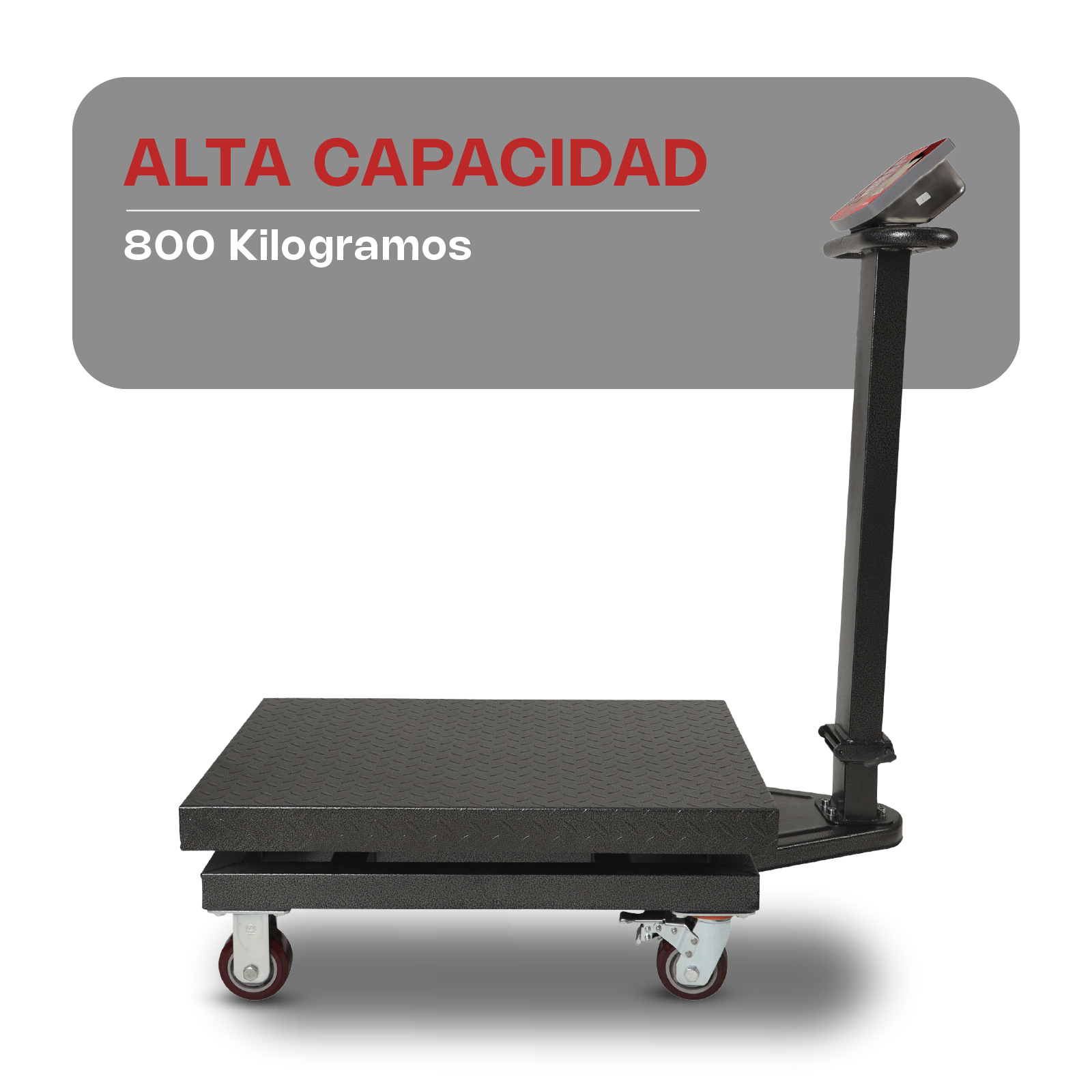 BAPLE-800 - Báscula de Plataforma Plegable Capacidad 800 kg