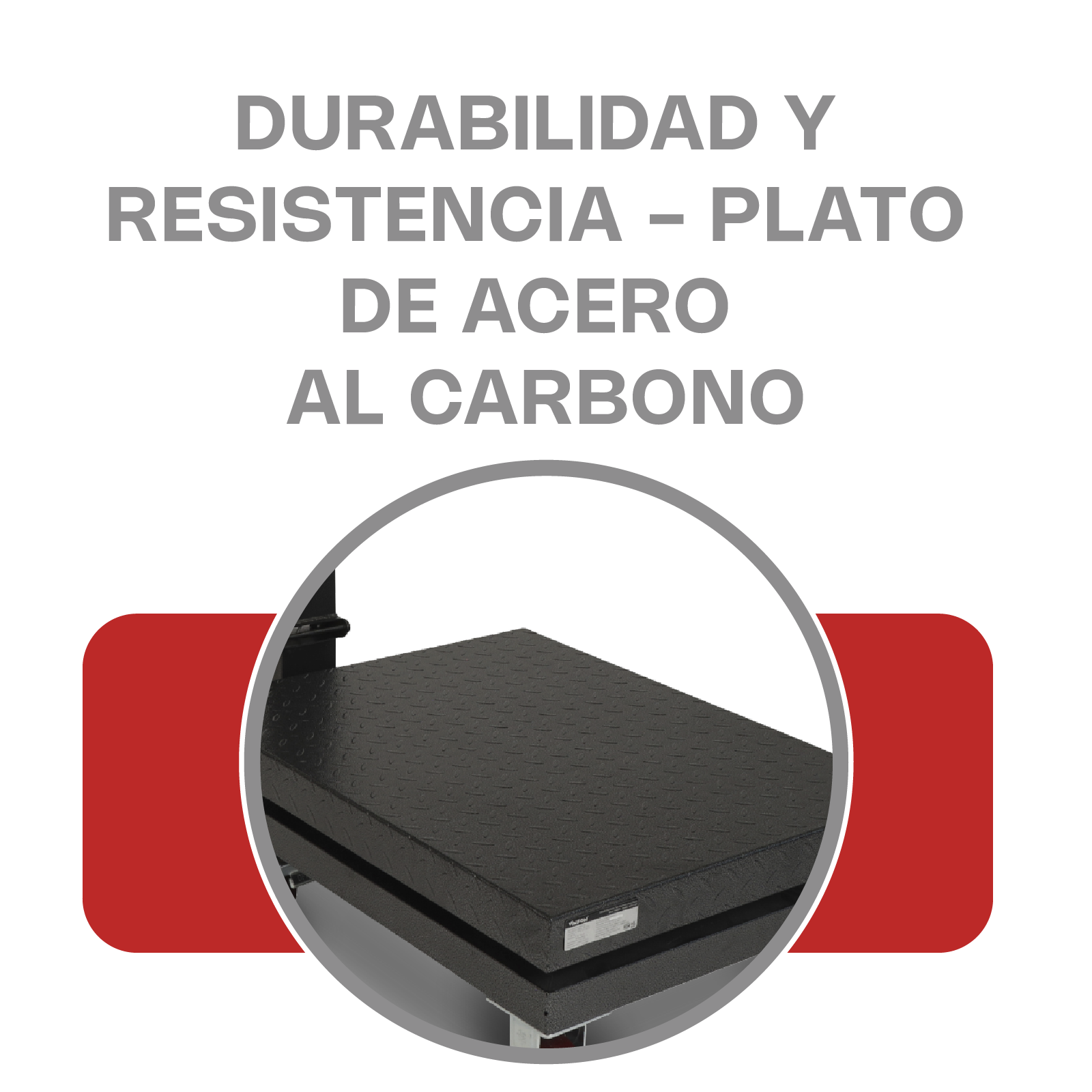BAPLE-800 - Báscula de Plataforma Plegable Capacidad 800 kg