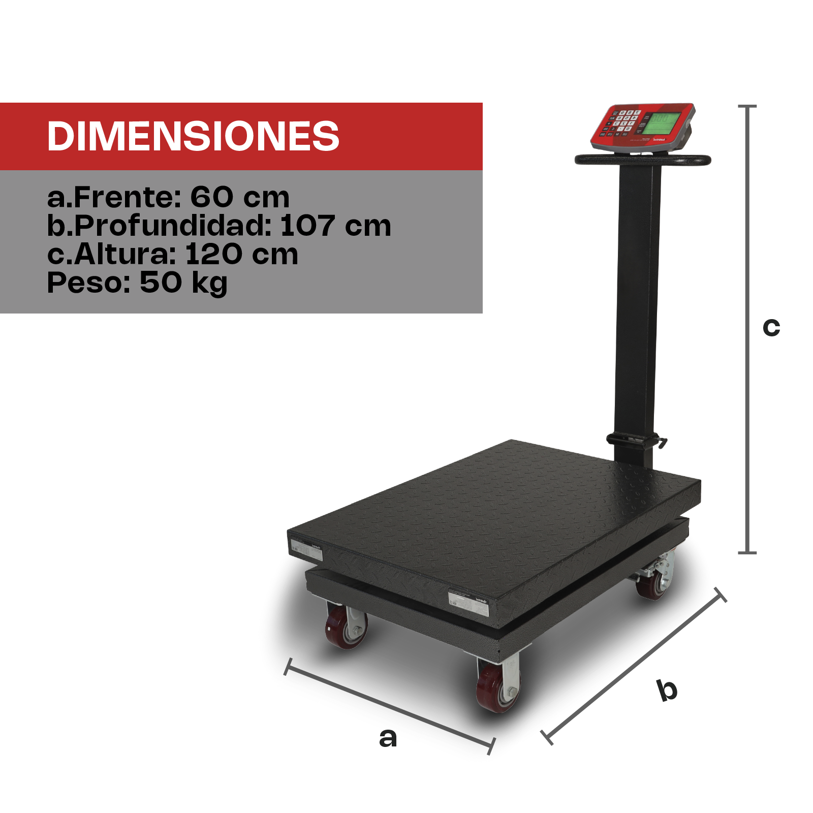 BAPLE-800 - Báscula de Plataforma Plegable Capacidad 800 kg