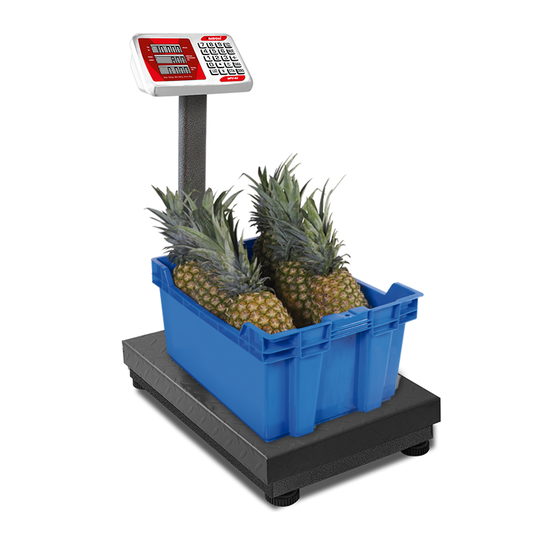 BAPLE-400 - Báscula de Plataforma Plegable Capacidad 400 kg